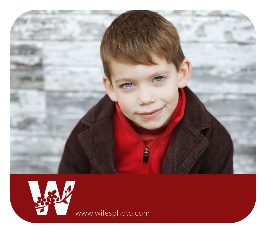 Family Orchard » Wiles Photography