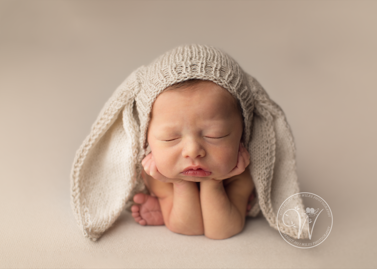 home » Wiles Photography