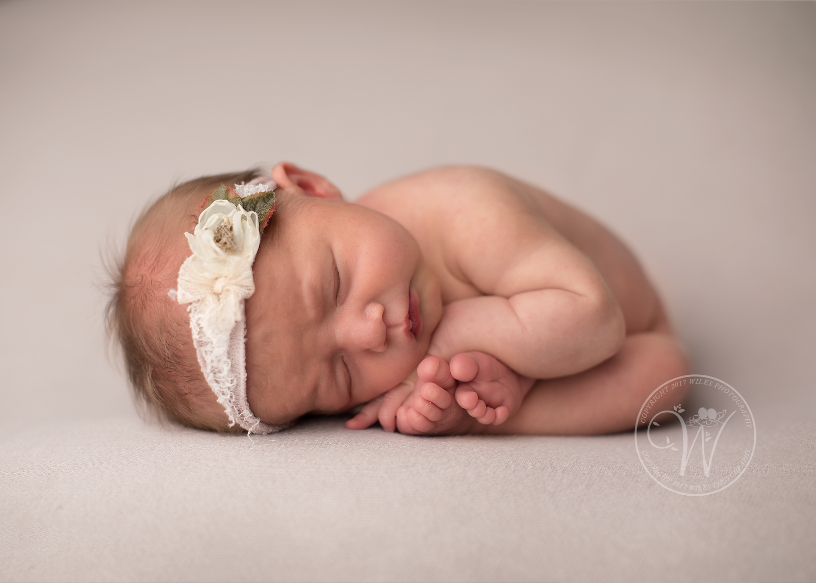 home » Wiles Photography