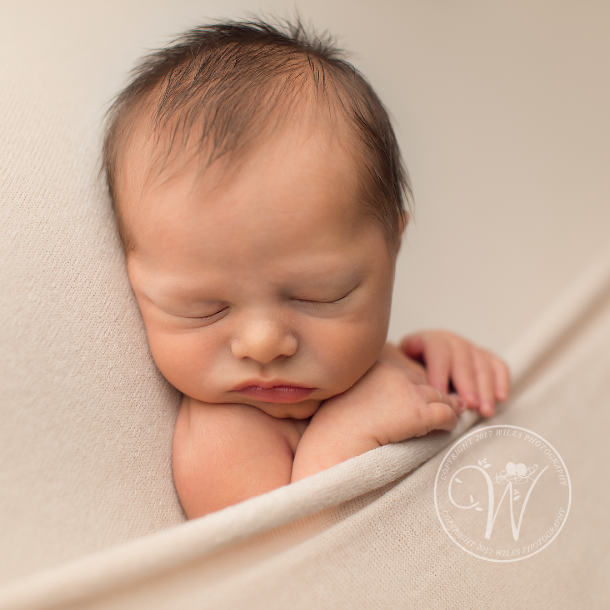 home » Wiles Photography